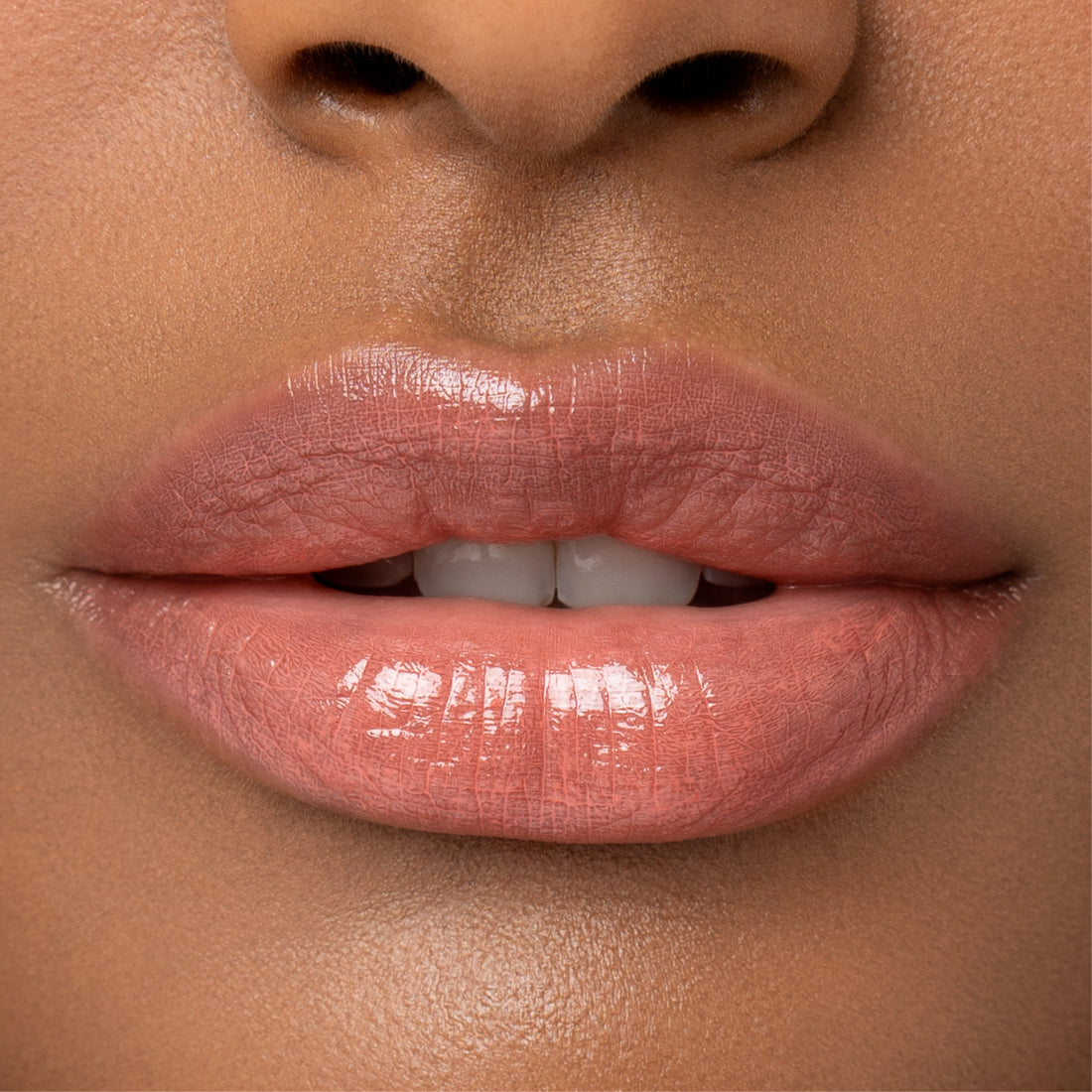 Sea Turtle Collection - Lip Chic – Chantecaille UK