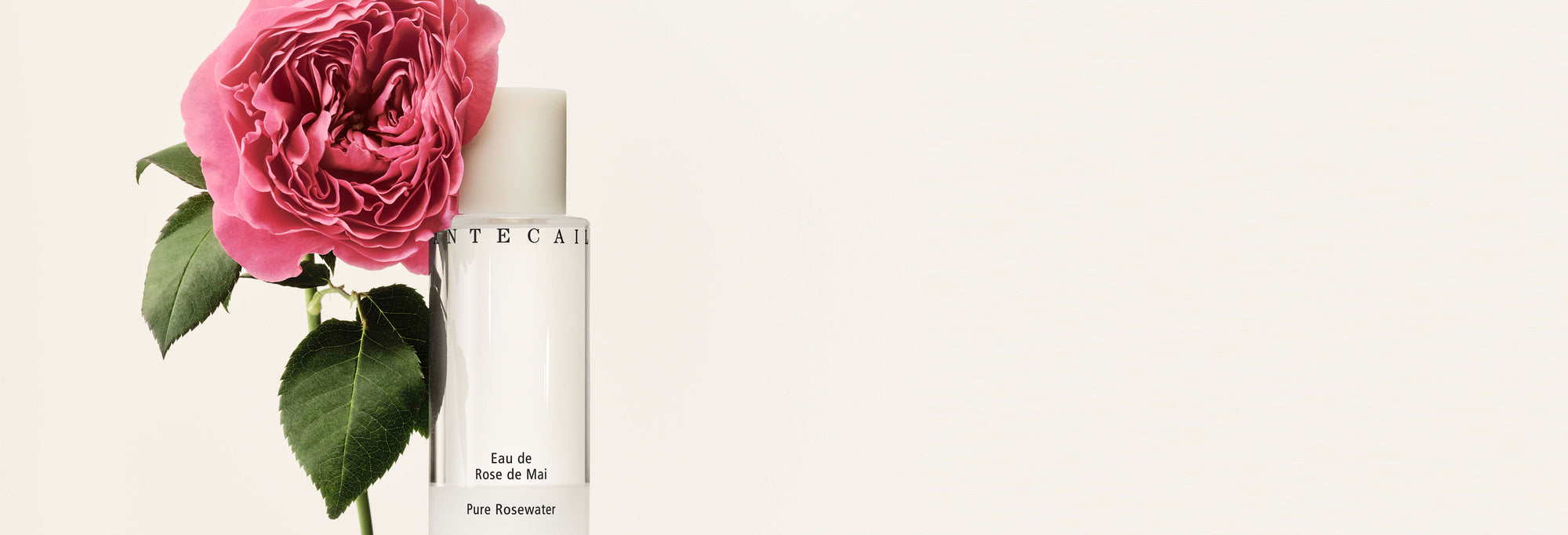 Chantecaille UK | Official Online Store | Botanical Skincare & Makeup