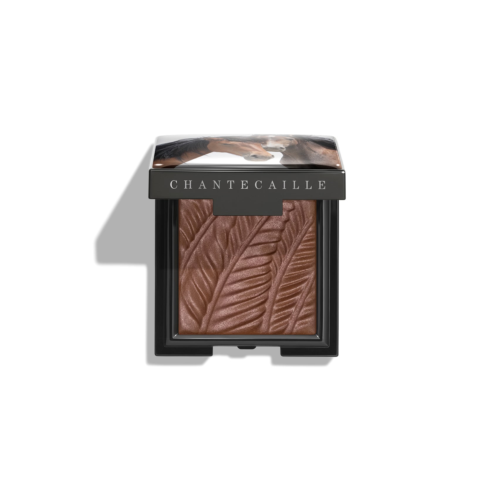 Wild Mustang Matte Eye Shade – Chantecaille UK