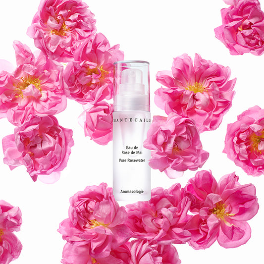 Rose de Mai Collection | Chantecaille – Chantecaille UK